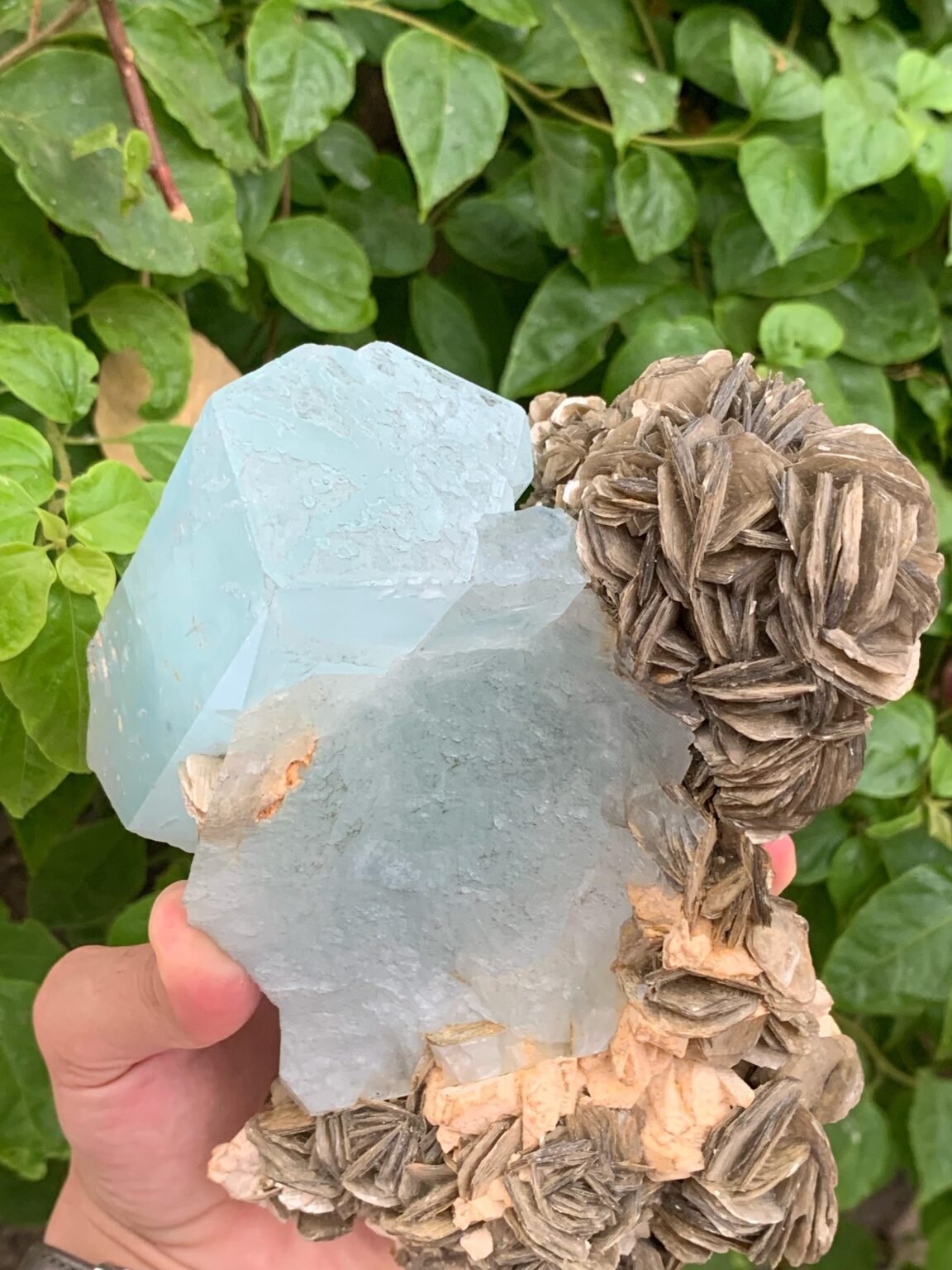 Aries Birthstones & Crystals: Diamond, Amethyst & Lucky Stones