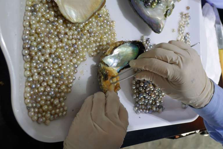 Natural Pearls: Types, Value, Identification & Jewelry Guide (2025)
